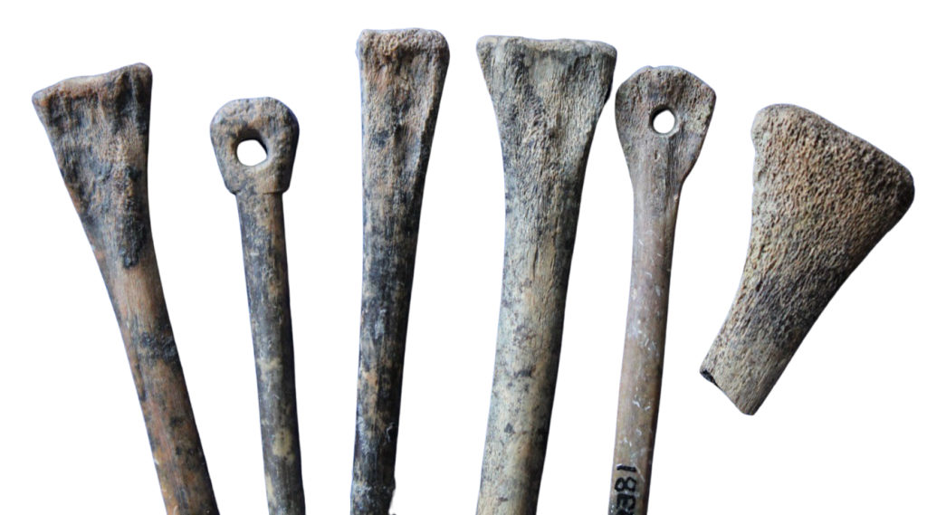 Dublin Airport Logistics Park | IAC Archaeology