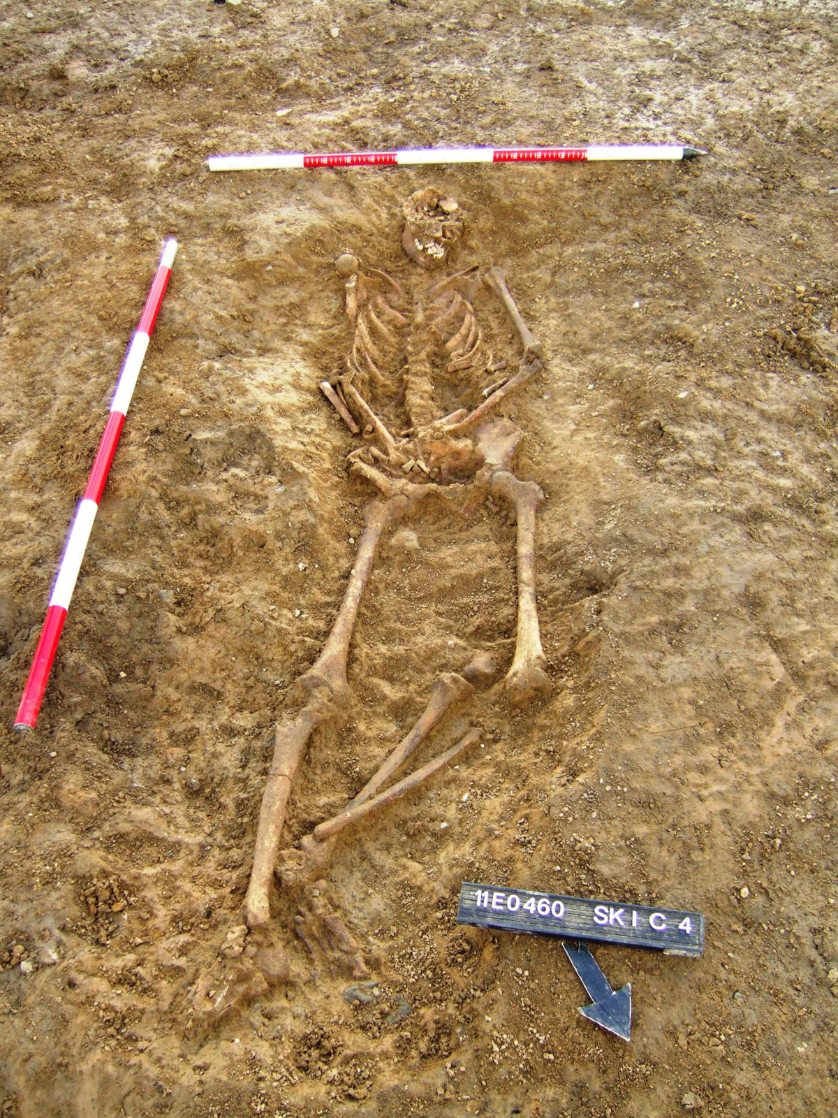 River Barrow Abstraction Scheme | IAC Archaeology