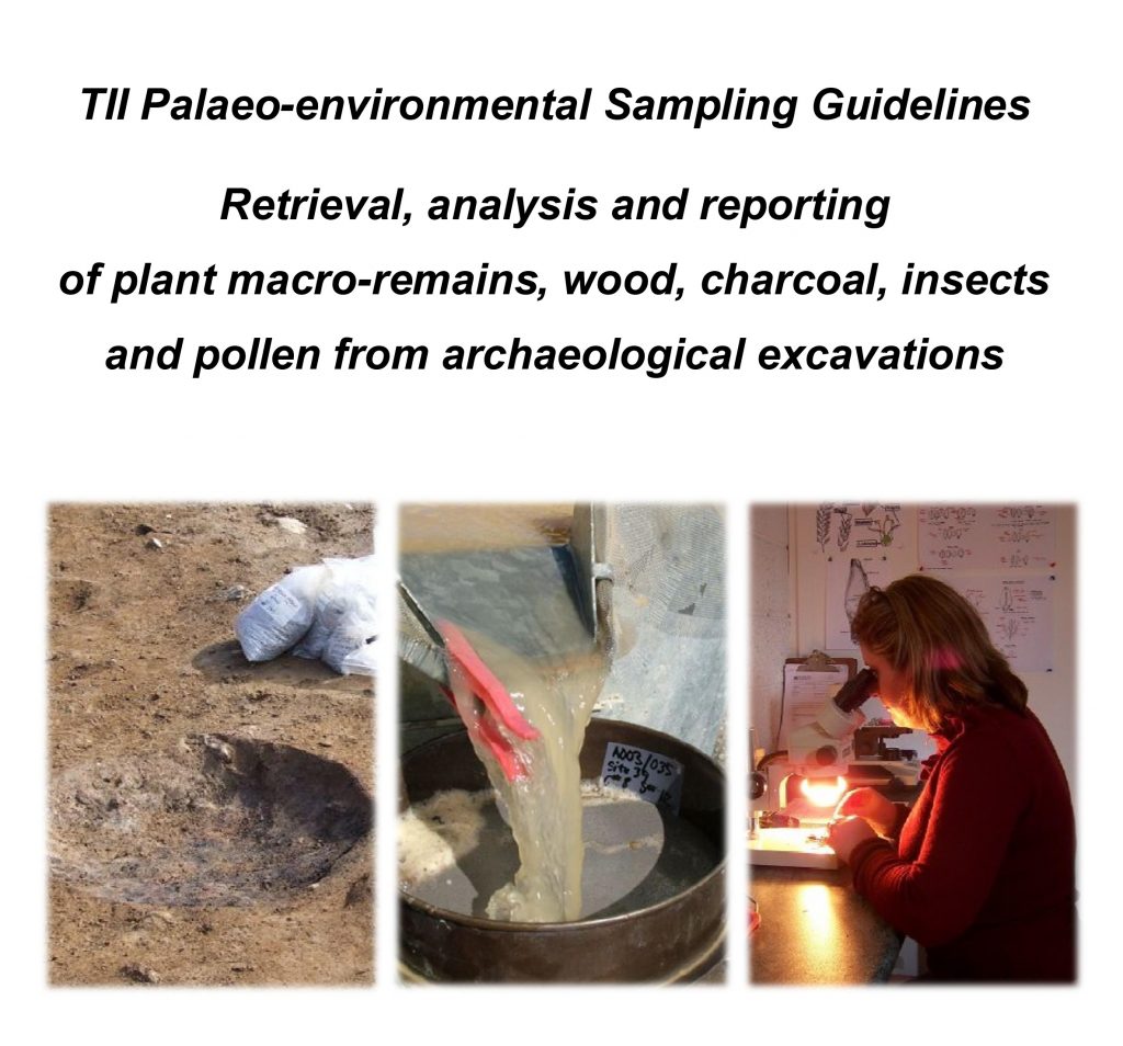 Review of TII Palaeo-environmental Guidelines | IAC Archaeology